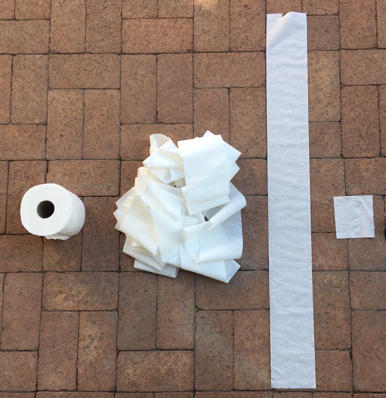 Check the Math: Toilet Paper Use * Evil Math Wizard