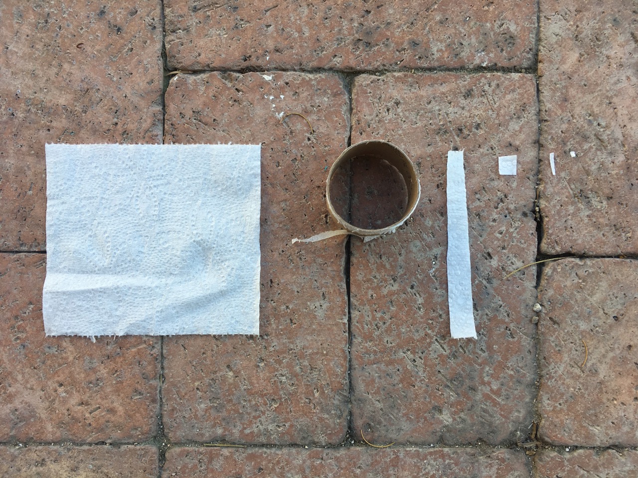 Check the Math: Toilet Paper Use * Evil Math Wizard